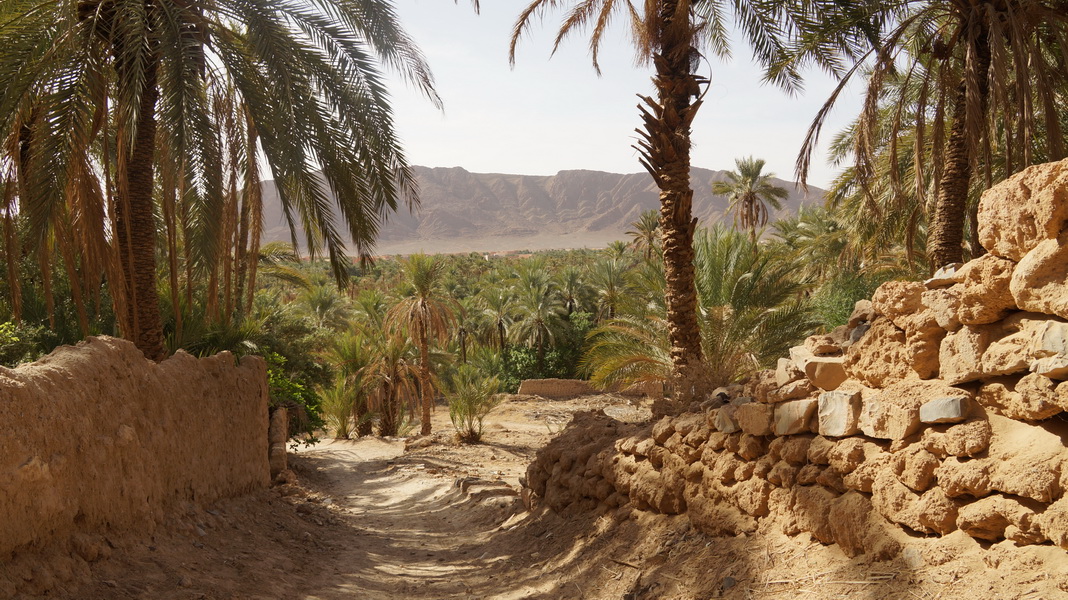 Notre tour du Maroc 2014: 02 avr - Visite au ksar Zenaga - Figuig