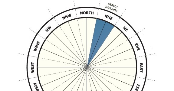 Vastu Case Studies: Vastu Remedies for Good Health