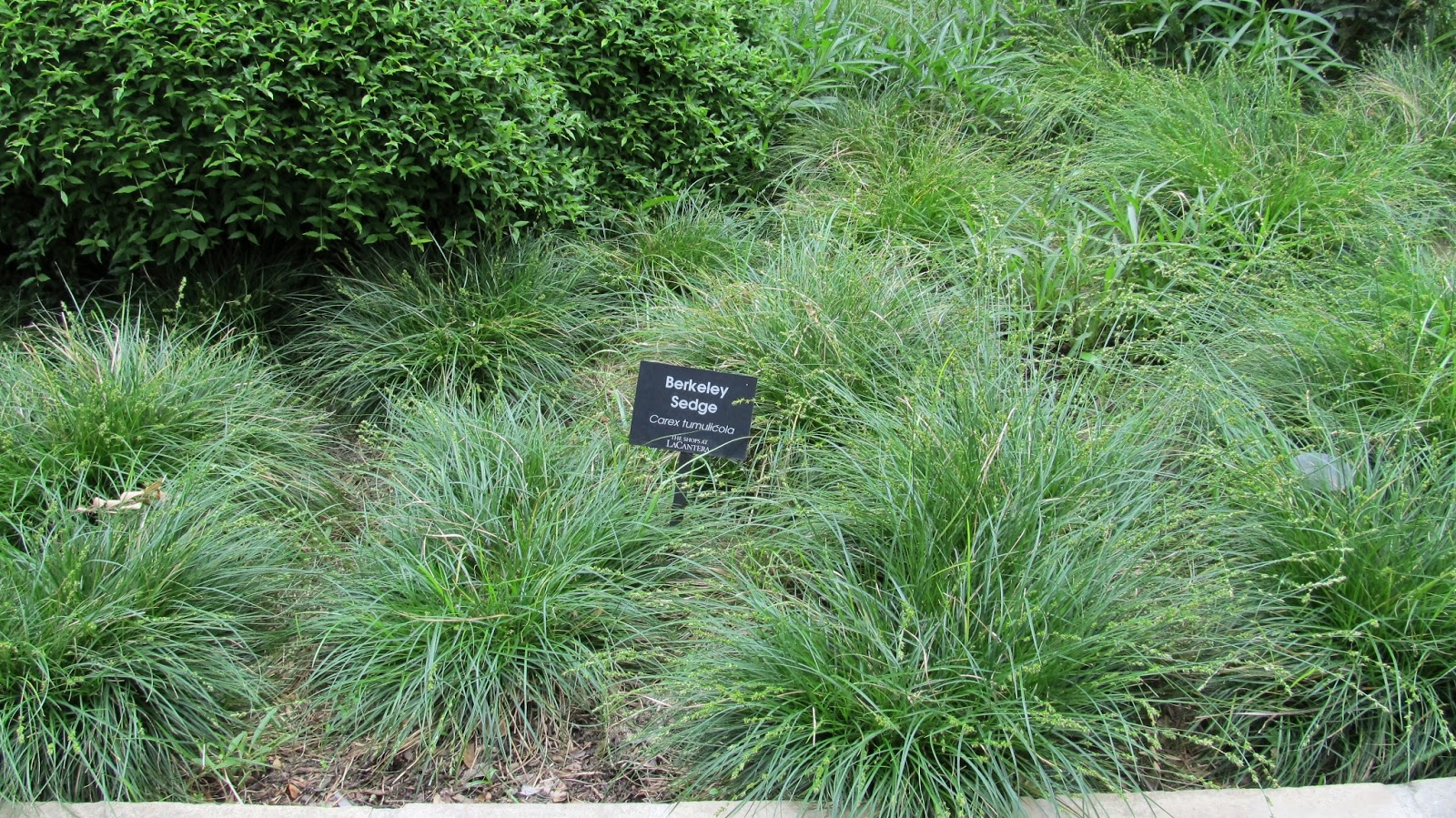 Rock-Oak-Deer: Shopping for Inspiration