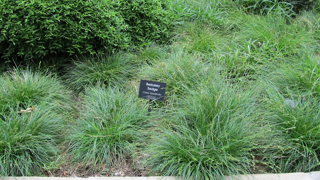 Rock-Oak-Deer: Shopping for Inspiration