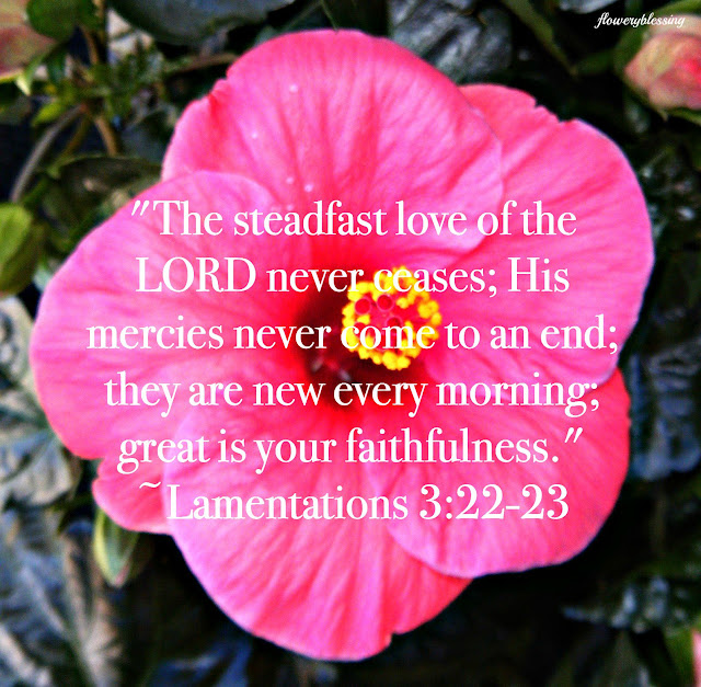 Flowery Blessing: "The steadfast love of the LORD never ceases; His ...