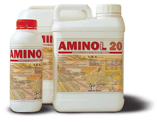 Las orquídeas de Iván Arroyo (Turrusta): ¿Qué fertilizante uso? Esta es ...