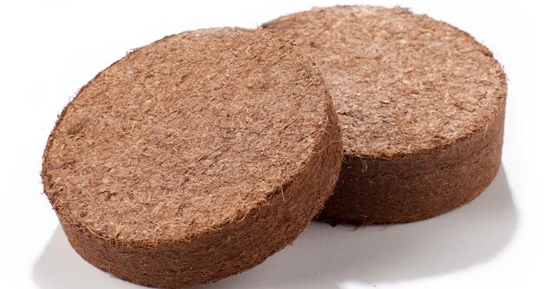 Coconut Coir Brick: Coconut Peat Tablets