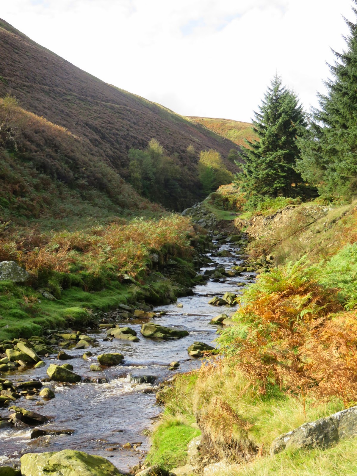 Heart Shaped: The Snake Pass walk