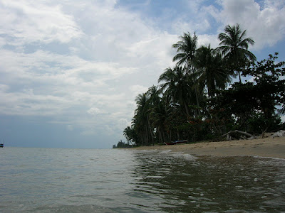 1.1. Keragaman Bentuk Muka Bumi di Lautan