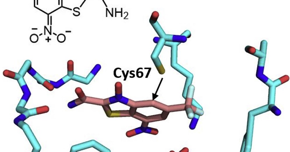 Covalent Modifiers: The Meisenheimer Complex as a Paradigm in Drug ...