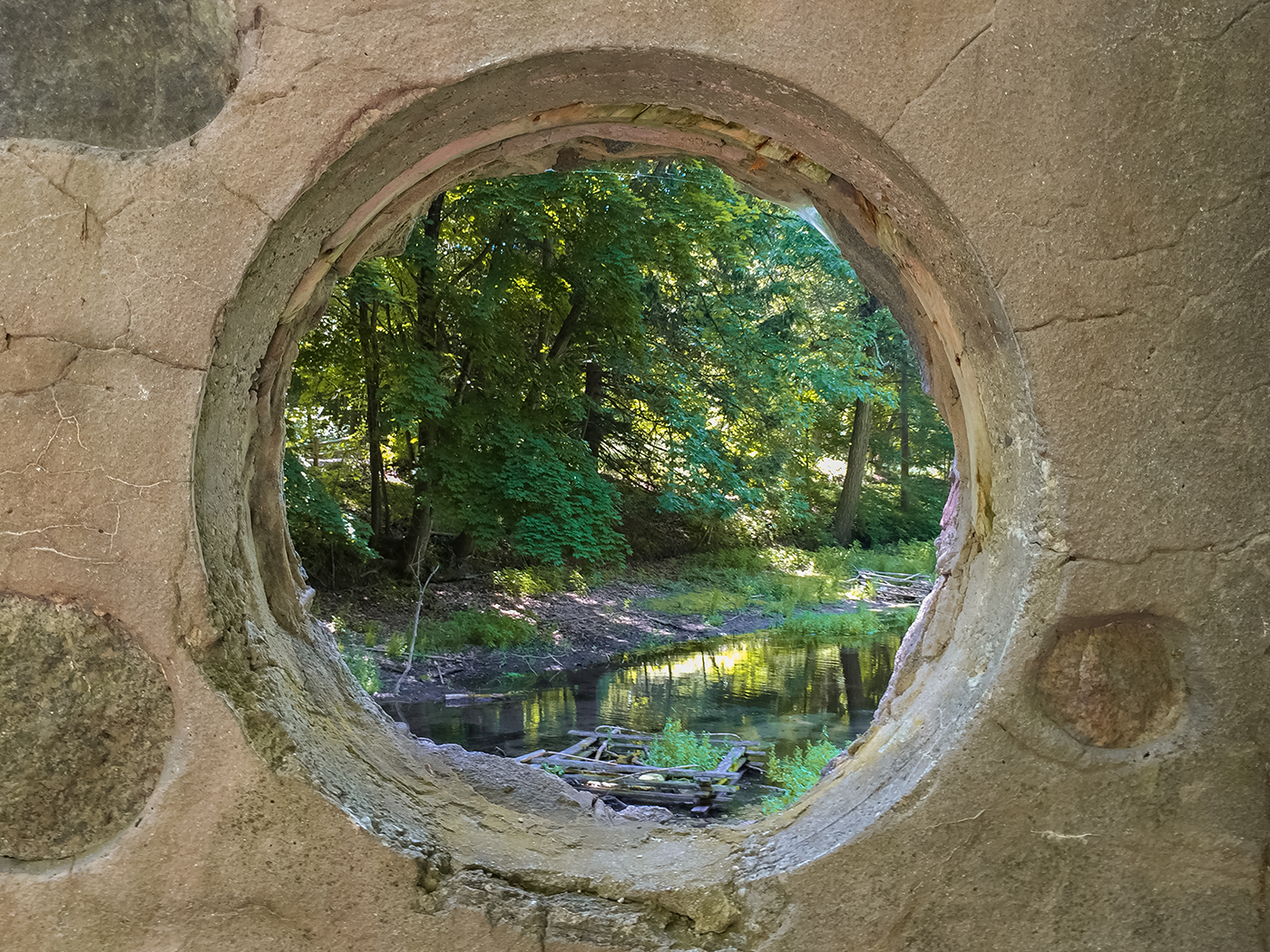 Exploring Paradise Springs