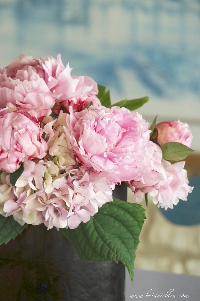 Botanic Bleu: Under the Peony Spell