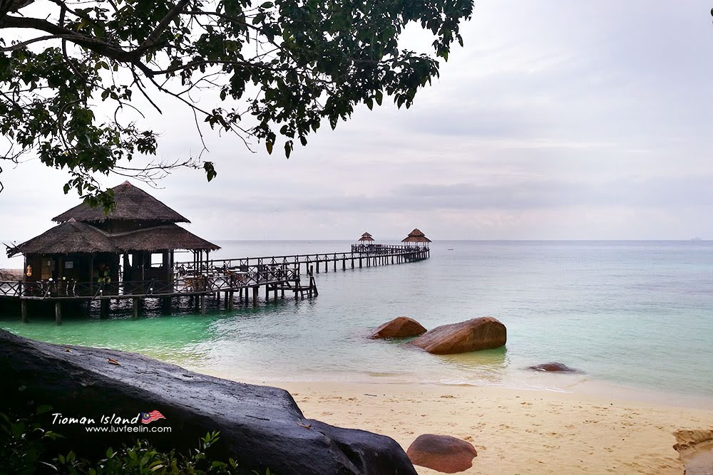 Kampung Asah Waterfall of Tioman Island 徒步刁曼岛寻【甘榜阿沙瀑布】 - 乐飞翎 ♥ LUVFEELIN