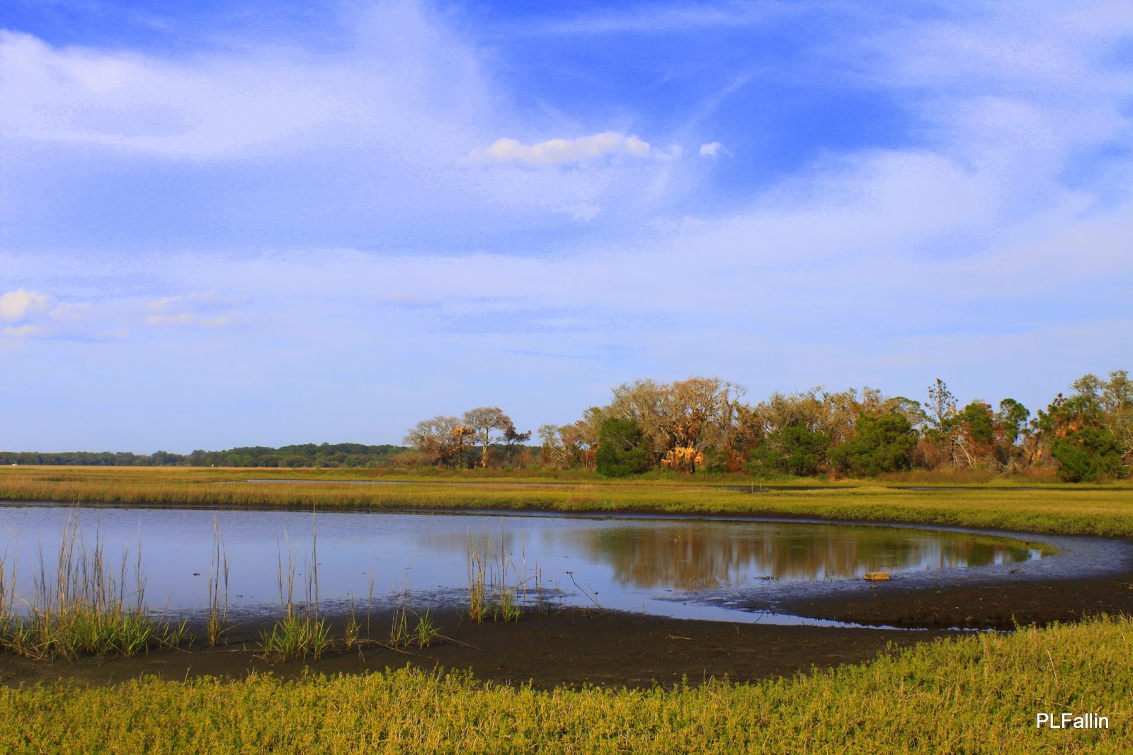 PL Fallin Photography: Marsh Point at Stokes Landing