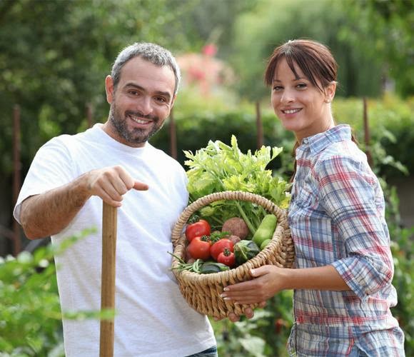 Como Ser Vegetariano: Un estilo de vida vegetariano