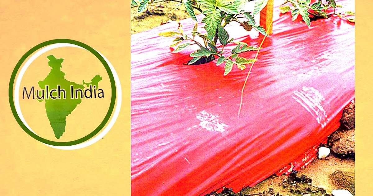 MulchIndia: Red Plastic Mulch -- Mulch India