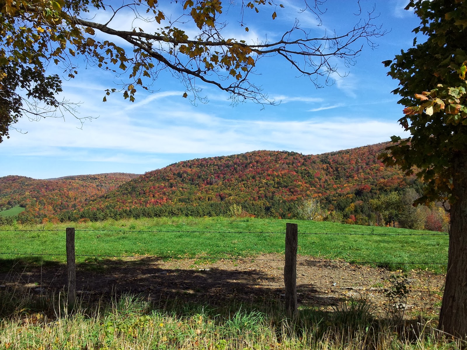 Sisters of St. Joseph of Springfield: October 2013