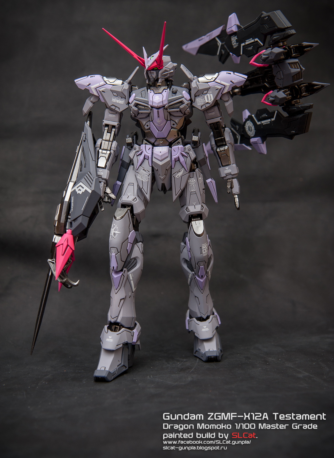 SLCat Gunpla Blog: DM 1/100 MG Testament Gundam
