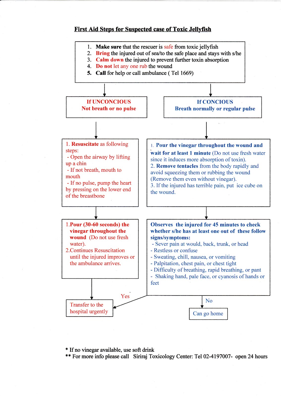 Camille's Samui Info blog: Box jelly fish on Koh Samui and the rest of ...