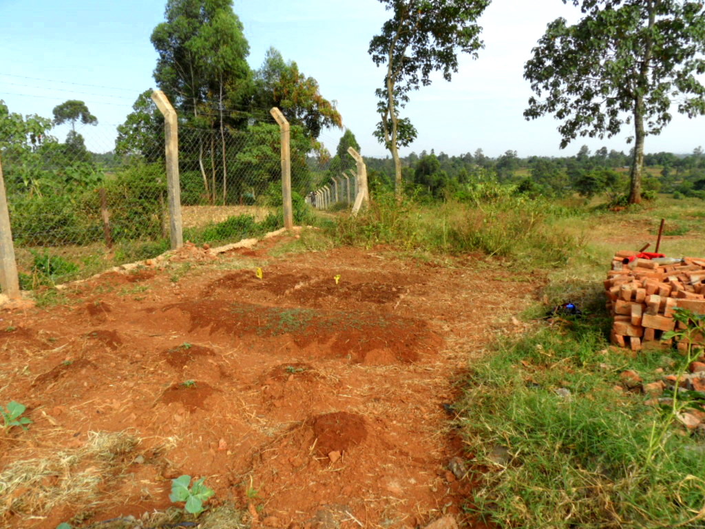 The Journey is the Reward: Dirt, Bugs, Bites and Beads