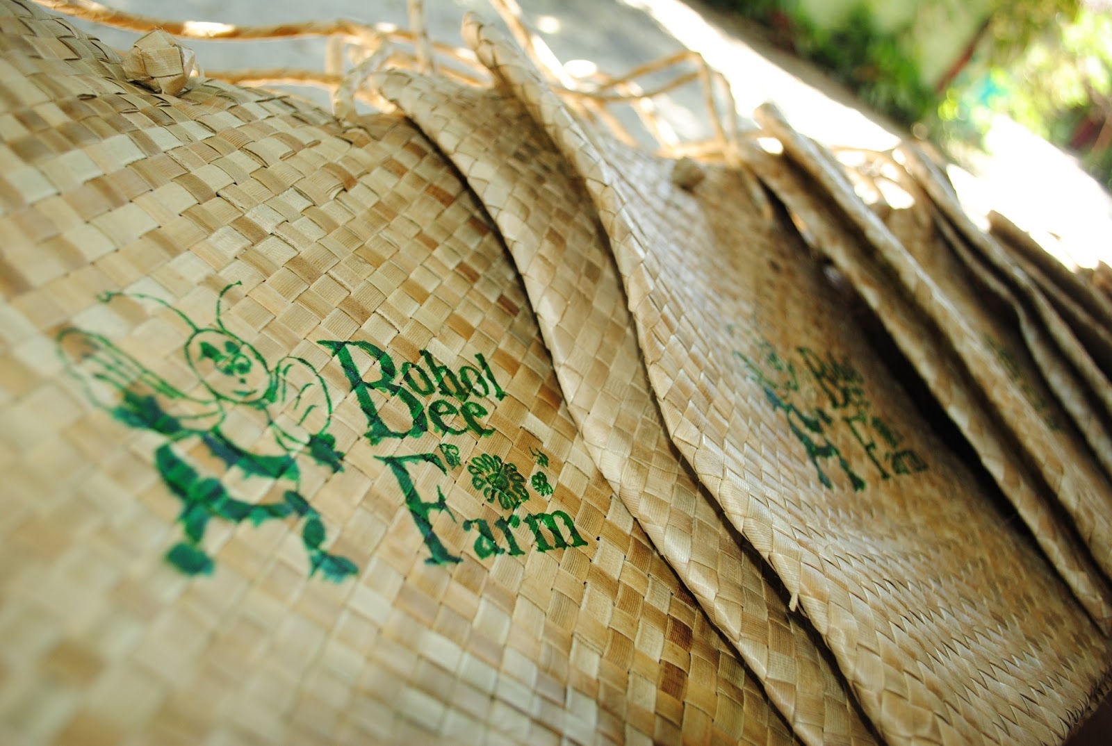 Backpacking Pilipinas: Summer Series: Top 5 Reasons to Love Bohol