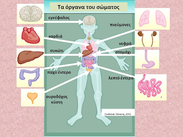Δραστηριότητες, παιδαγωγικό και εποπτικό υλικό για το Νηπιαγωγείο & το ...