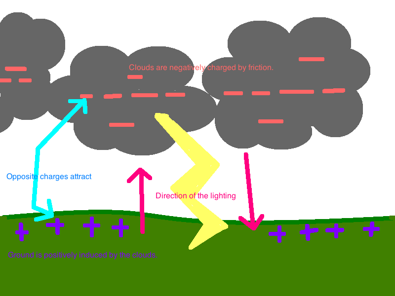 Hannah and Physics : Unit 6 Blog Reflection