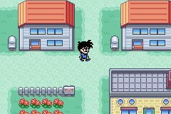 Detective Conan Pokemon Hack: Detective Conan Pokemon Hack Project