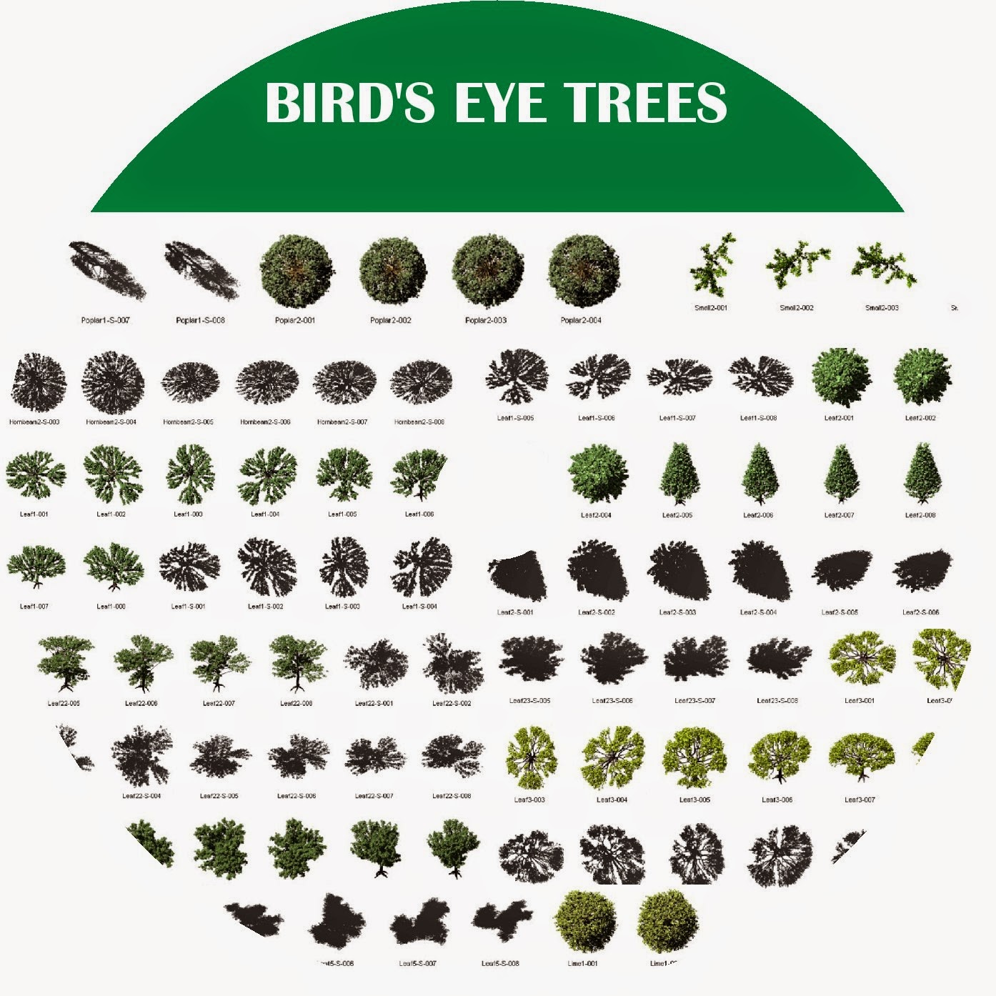 3D visualisations: 0017 Bird's Eye Trees. Hi-Res 3D Trees Models.