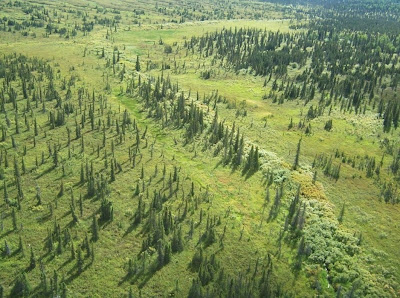 Ultima Thule: Chefornak, Alaska :Drum dancers and grass baskets