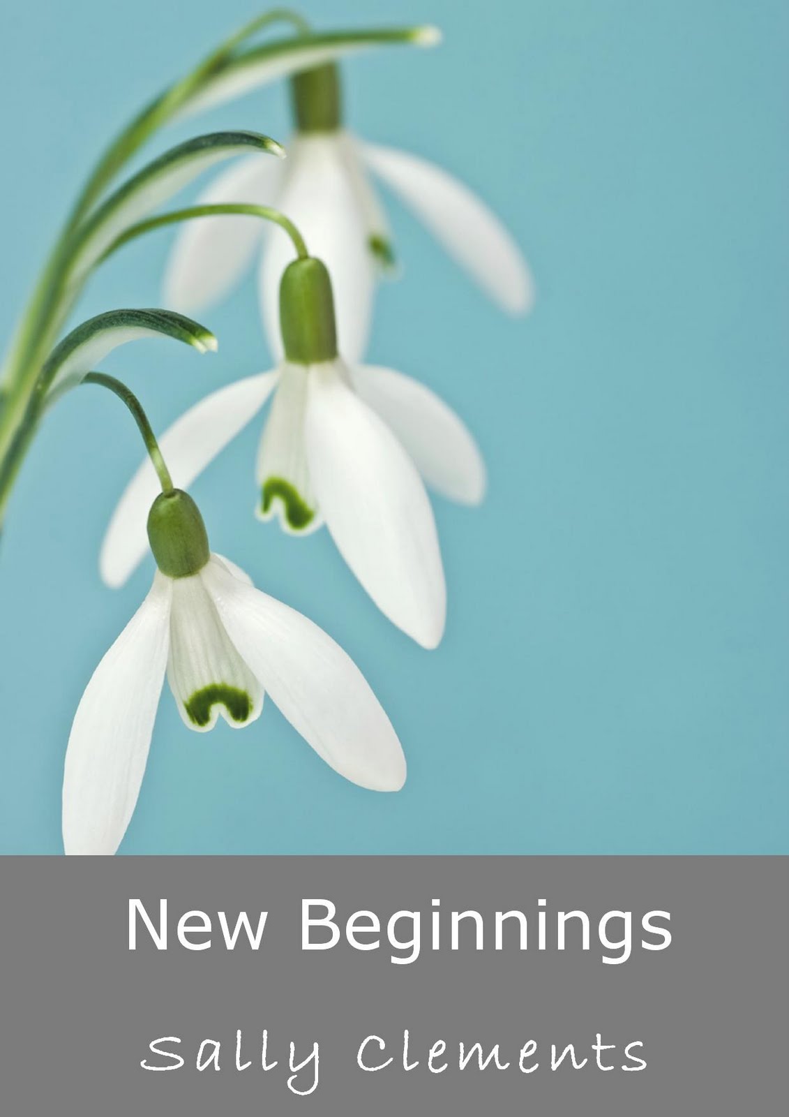 Guest Author: Sally Clements | ~ Bookingly Yours