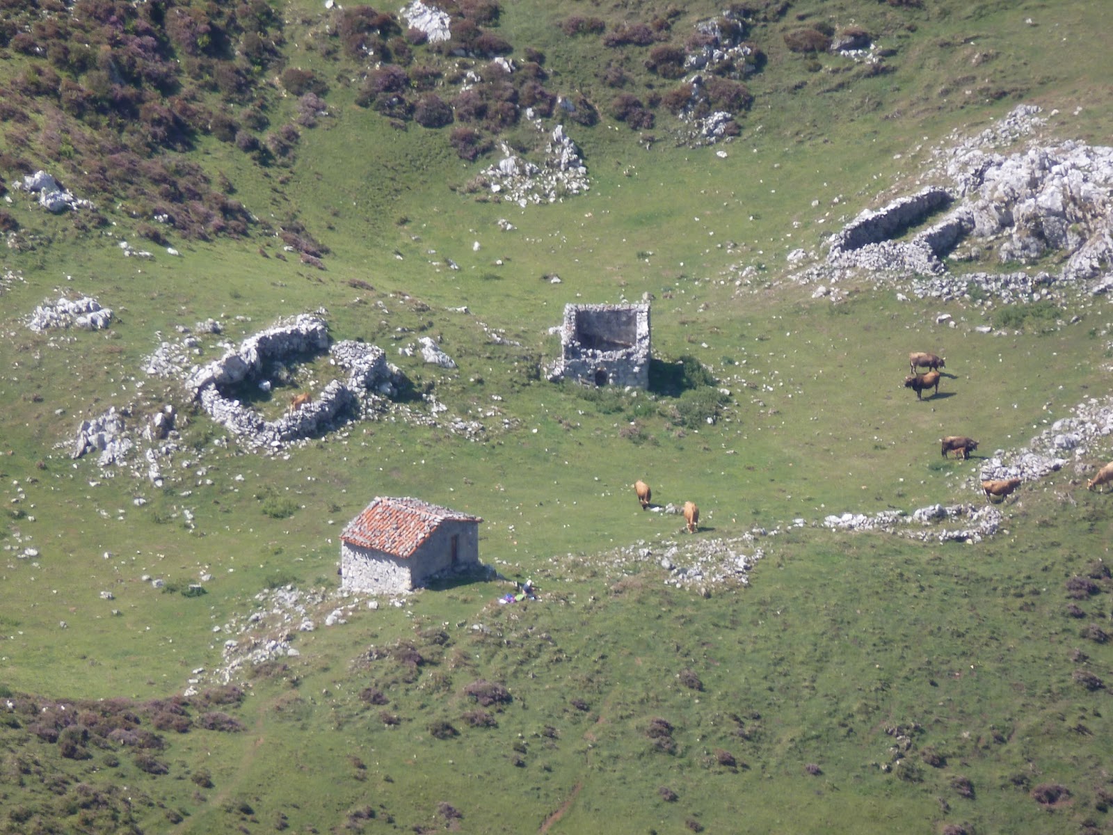 CAMINO AL ANDAR: 2012