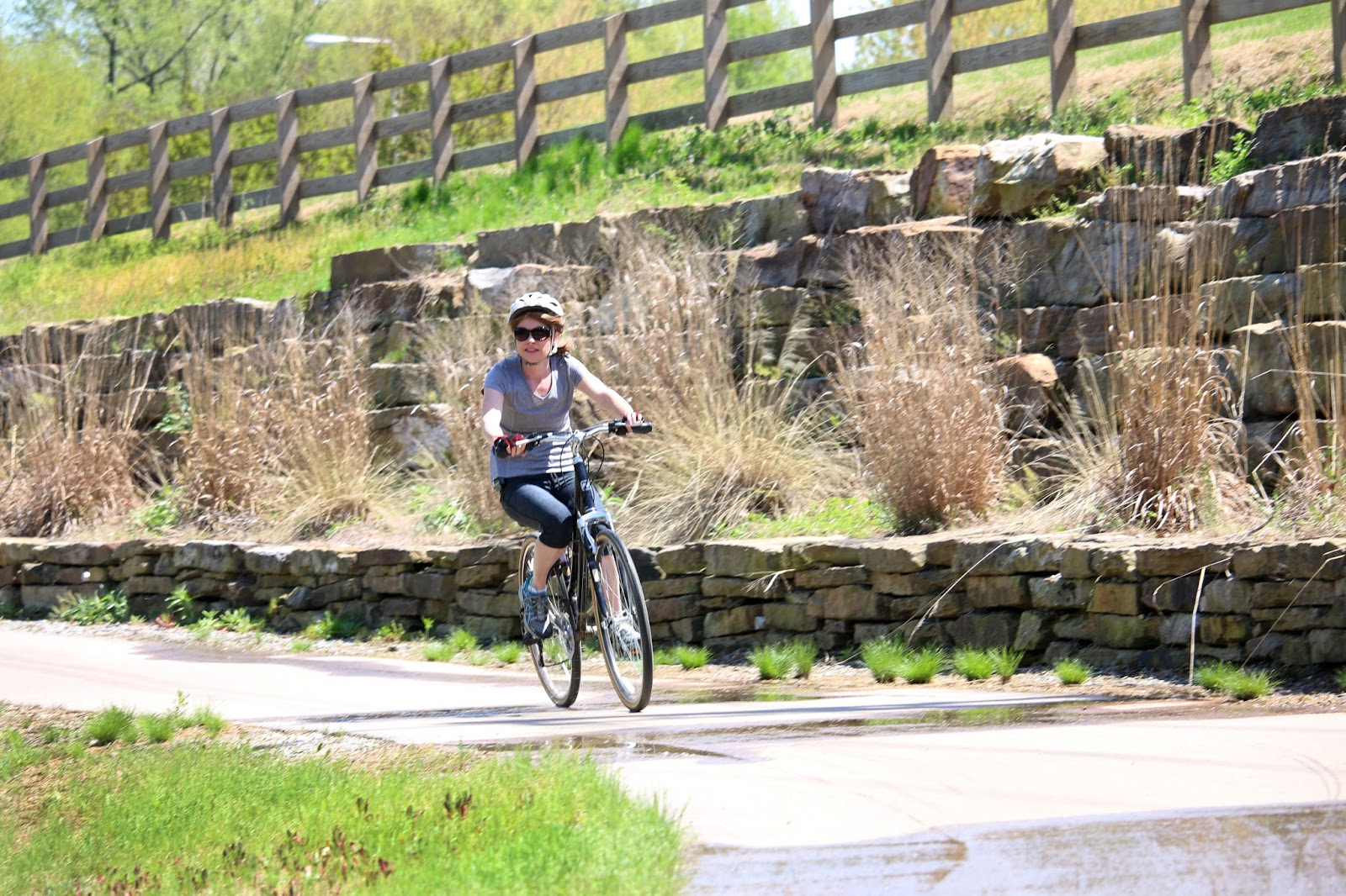Memphis Cyclist: Wolf River Conservancy is working to expand the Wolf ...