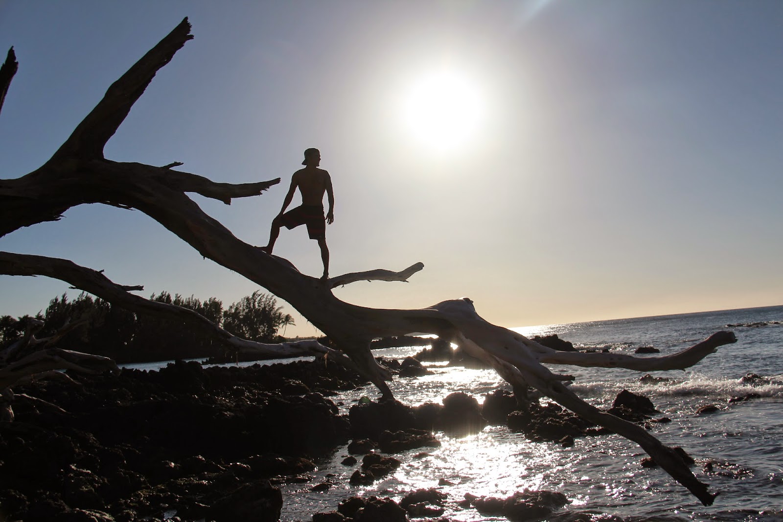 Star Looker Photography