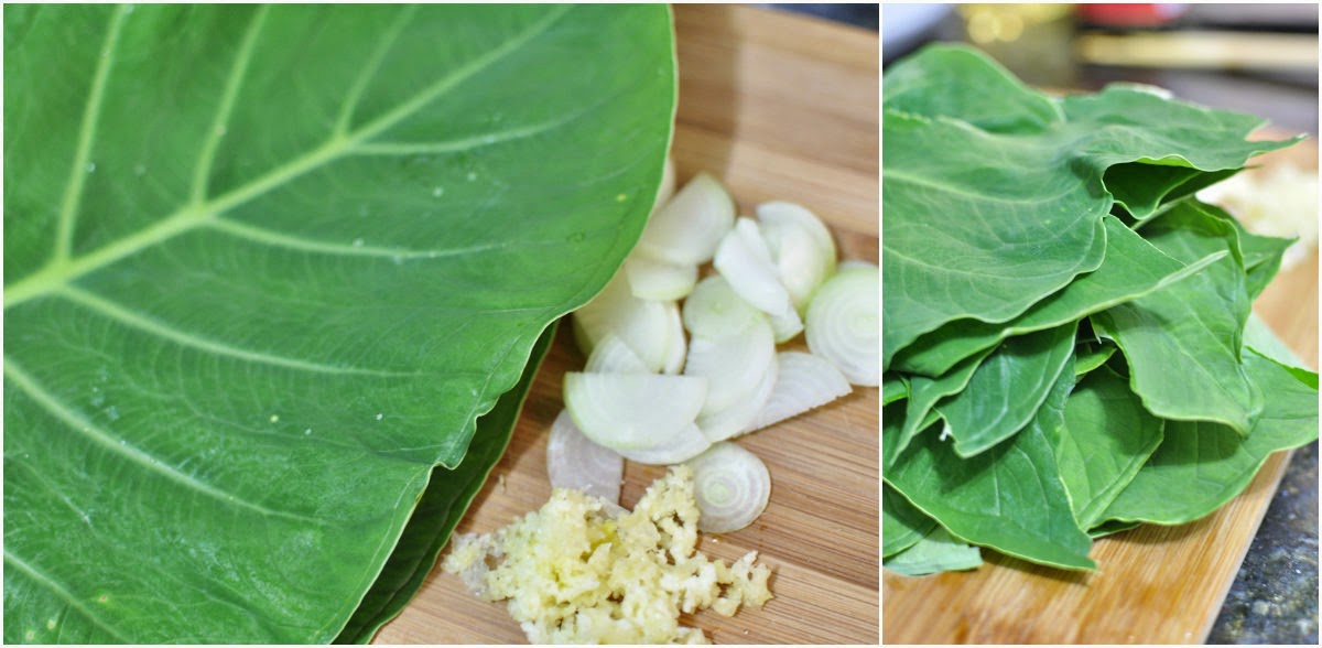 RW PAISAGISMO: GASTRONOMIA: PANC - PLANTAS ALIMENTÍCIAS NÃO CONVENCIONAIS