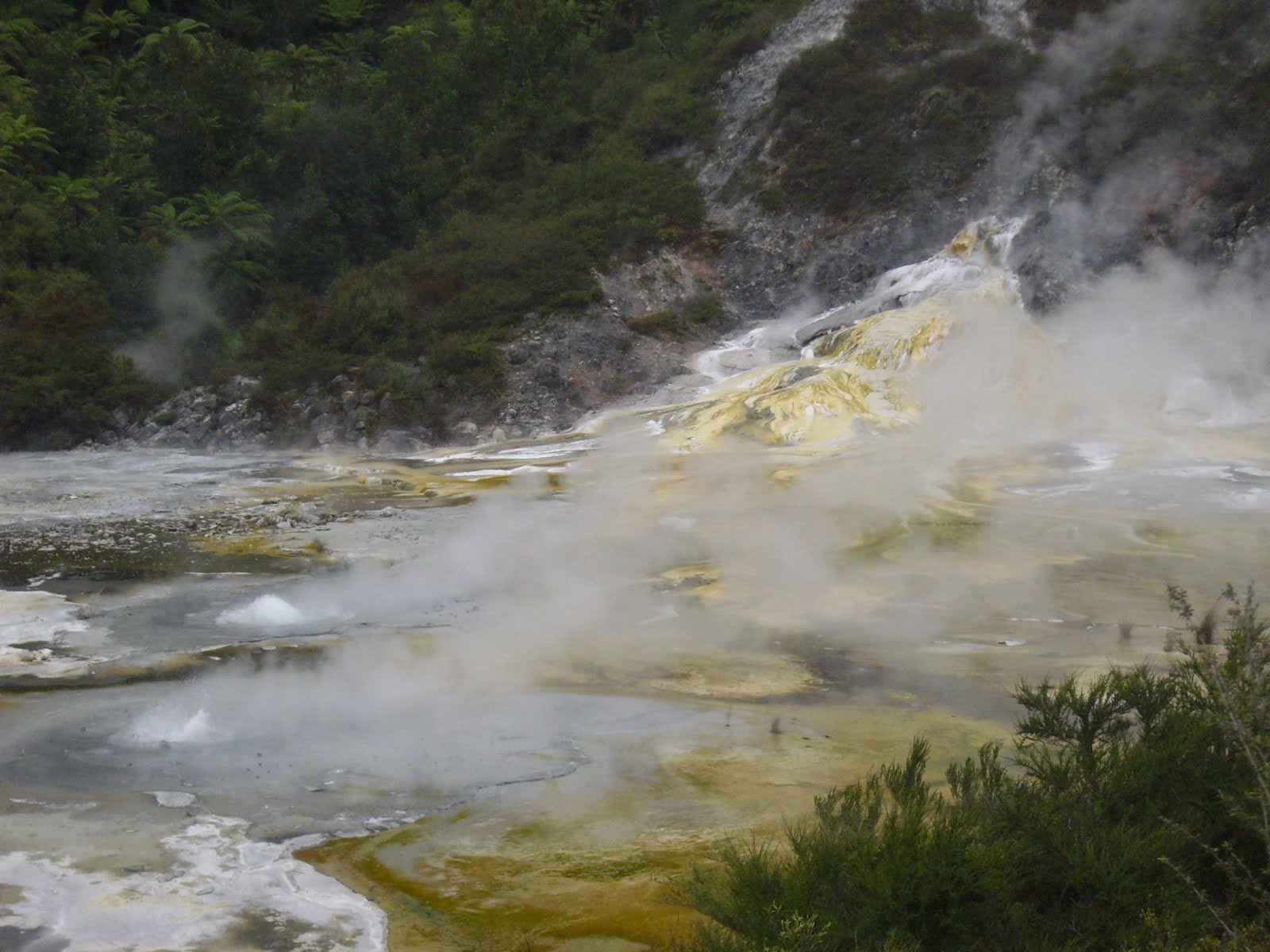 Lara in Neuseeland: Craziest weekend ever