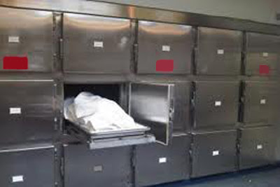 OmegaArt: Unik, Kamar Mayat Dengan Kelengkapan Teknologi Sensor