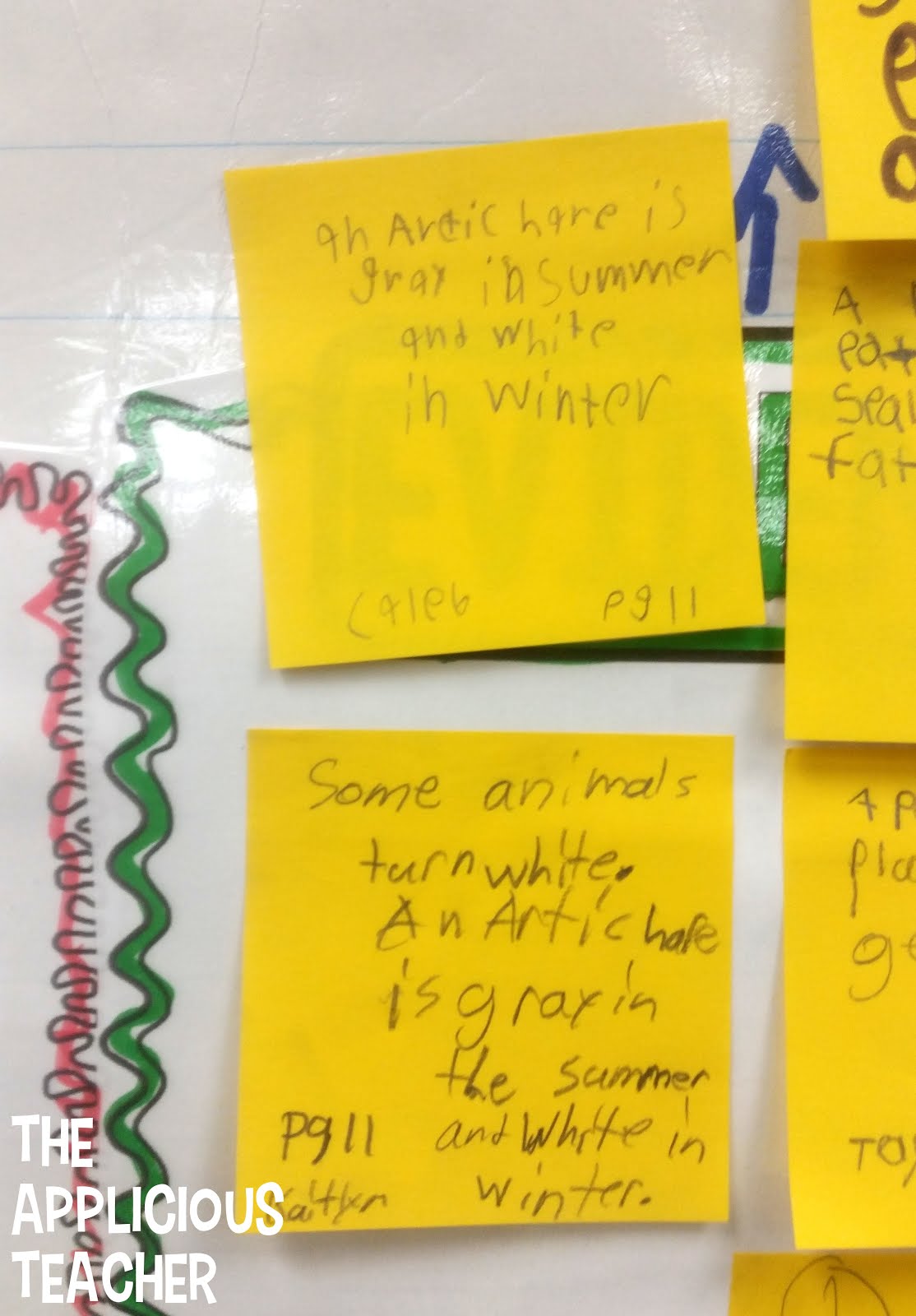 Arctic Thematic Unit Study: Part One - The Applicious Teacher