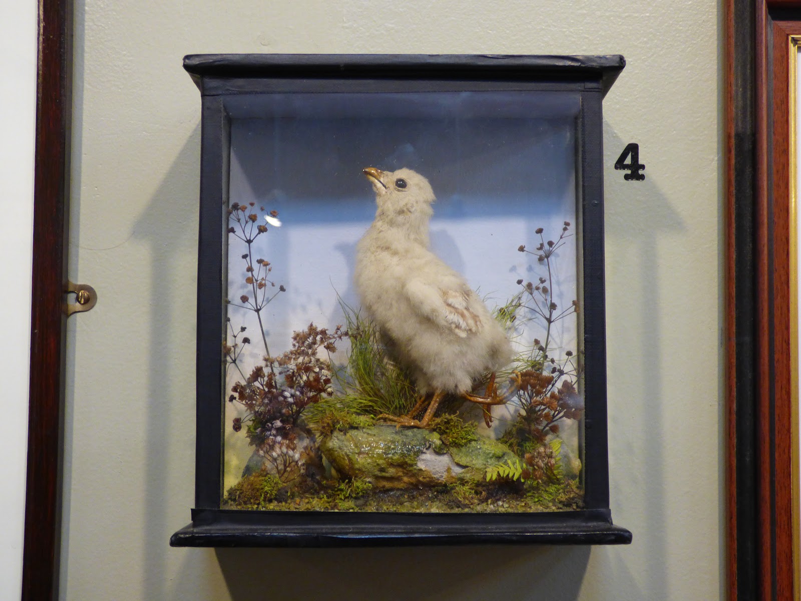 Scribbling Lau: Visiting the Tiptree Jam Factory and Museum