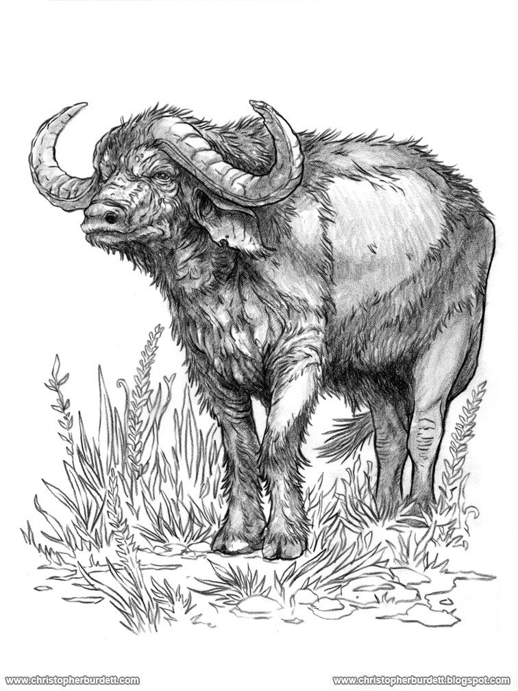 The DOODLES, DESIGNS, and aRT of CHRISTOPHER BURDETT: Fresh from the ...