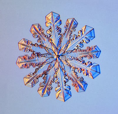 The Agatelady: Adventures and Events: Microscopic Images of Snow