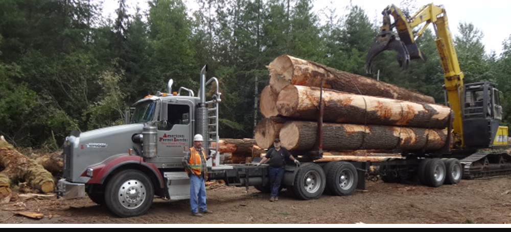 MEC&F Expert Engineers : Logging truck driver Matthew Aaron Sellers, 33 ...