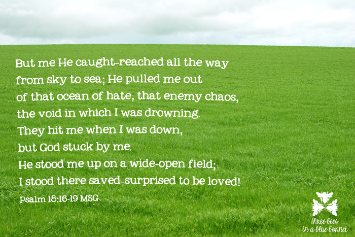 Three Bees in a Blue Bonnet: A Lesson from the Word: Psalm 18: 16-19