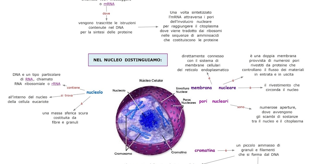 Paradiso delle mappe: Il nucleo