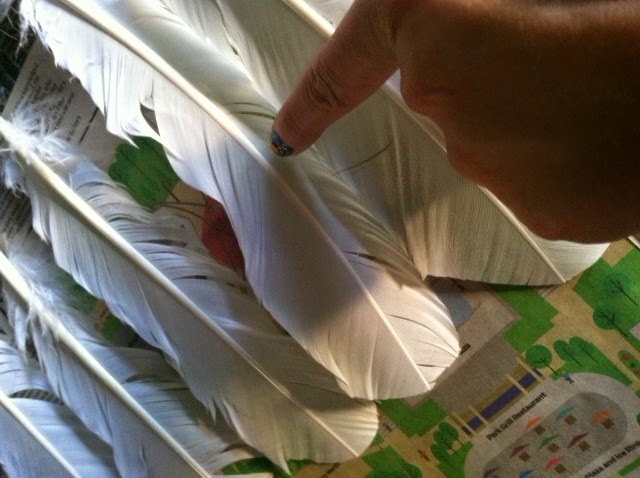 Mudpipes and Glitter: DIY-Gold Dipped Feather Chandlier