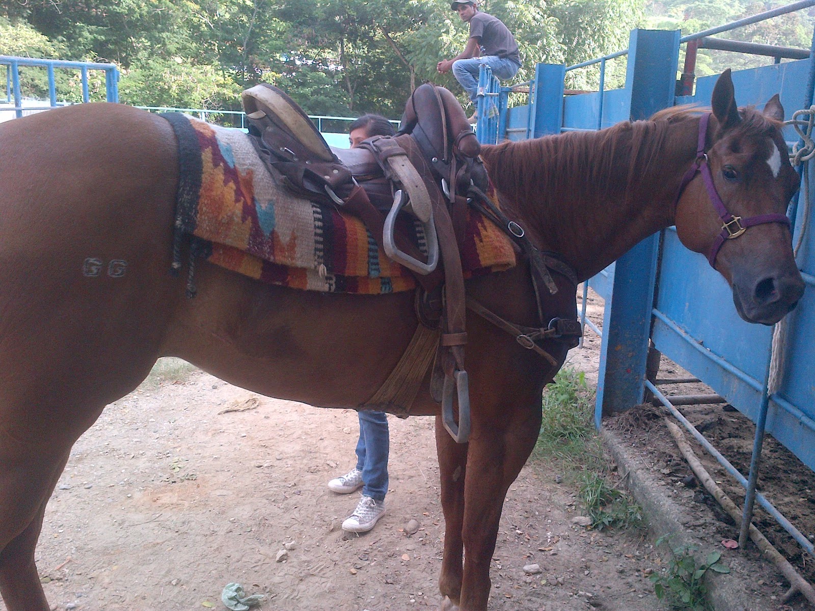 El Rincón del Coleo