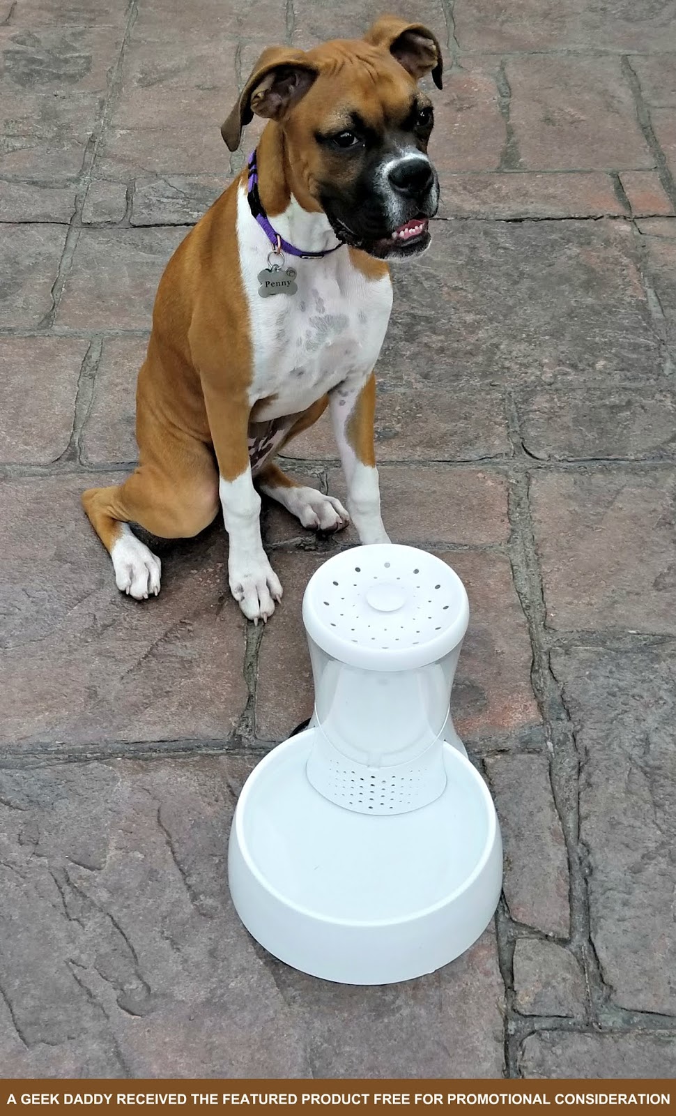 A GEEK DADDY: PETMATE FRESH FLOW RAIN FOUNTAIN