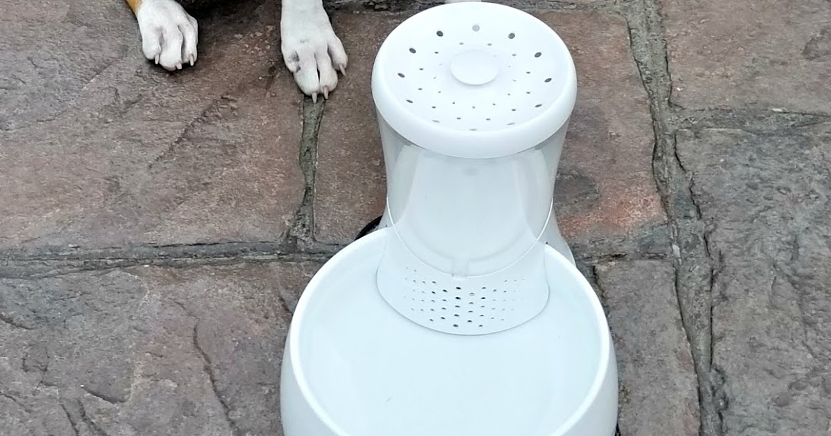 A GEEK DADDY: PETMATE FRESH FLOW RAIN FOUNTAIN