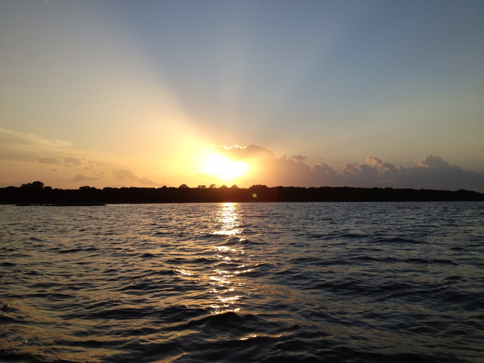 Nature Is Real: Guana State Park & Guana Wildlife Management Area