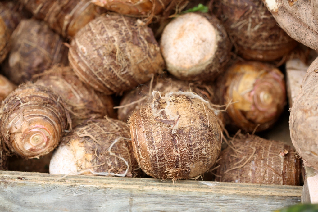 Puerto Rico - Beyond Sweet and Savory