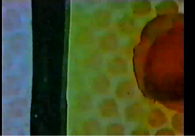 Alesa's Animation Blog