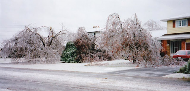 Trackside Treasure: Ice Storm Hits CN's Kingston Sub, 1998