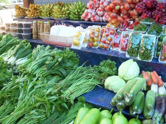 Supplier Sayuran di Makassar | Amman Bille