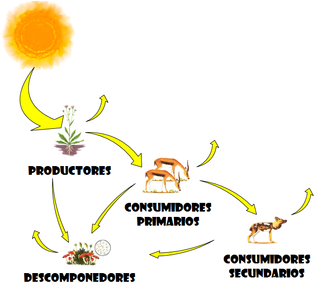 TRANSFERENCIA DE ENERGÍA: Conceptos básicos